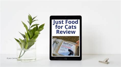 Blog Jess Caticles