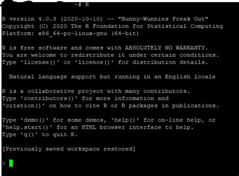 Switching R Version On Ubuntu 2204 Posit Package Manager Posit