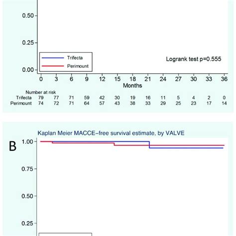 A Cumulative Kaplan Meier Survival Curves B Cumulative