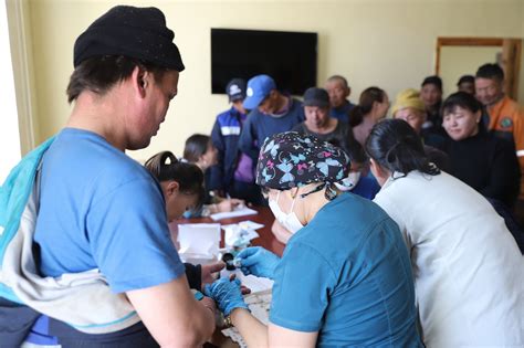 Арвайхээр Арвайхээр сумын Засаг даргын Тамгын газар