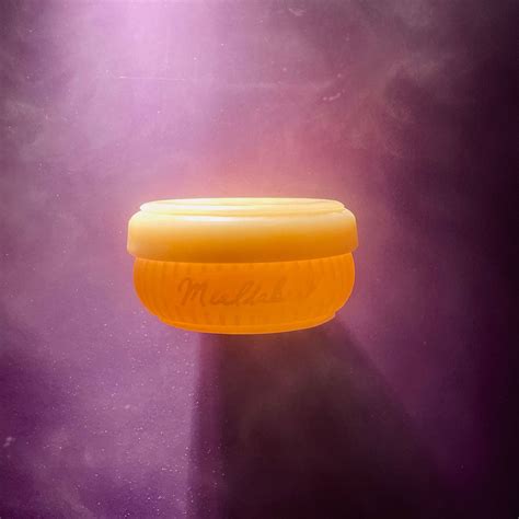 겨울을 피하고 싶어서