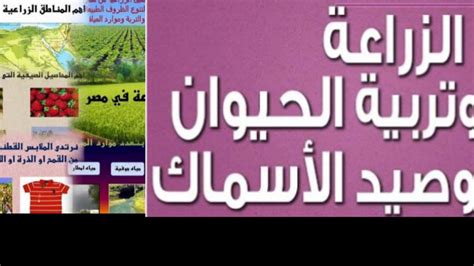 الزراعة وتربية الحيوان وصيد الأسماك دراساتاجتماعية للصف الرابع