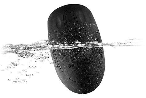 Healthcare Seal Shield