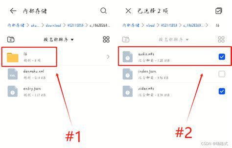 如何下载b站高清视频、音频到本地？b站音频怎么下载到本地 Csdn博客