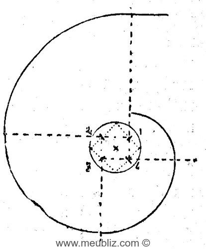 Volute Définition De Cet Enroulement En Spirale