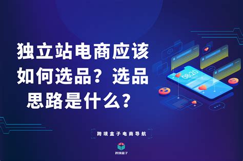 独立站电商应该如何选品？选品思路是什么？ 跨境盒子