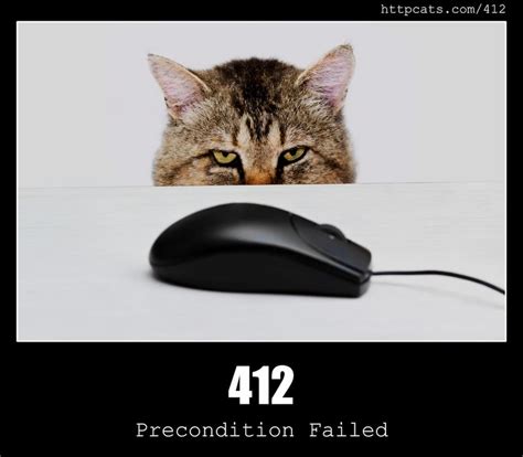 412 Precondition Failed Status Code And Cats