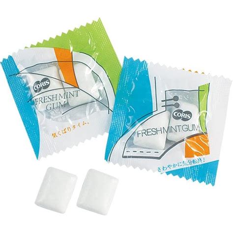 고리스 플래시 민트 껌 1kg2알×300고 재팬스토어 일본약 의약품 전문 직구 쇼핑몰