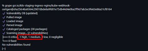 Ingress Nginx Kube Webhook Certgen Image Gets Flagged As Vulnerable Issue Kubernetes