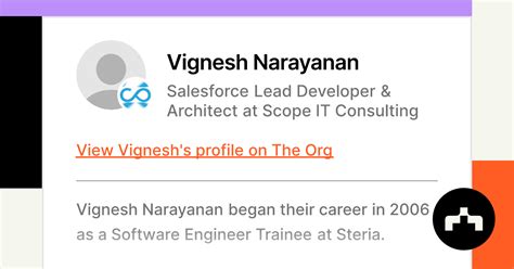 Vignesh Narayanan Salesforce Lead Developer And Architect At Scope It Consulting The Org