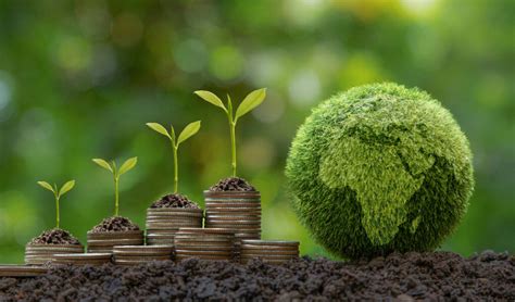 Agricultura Sostenible Cultivando Un Futuro Resiliente Mimus Mx