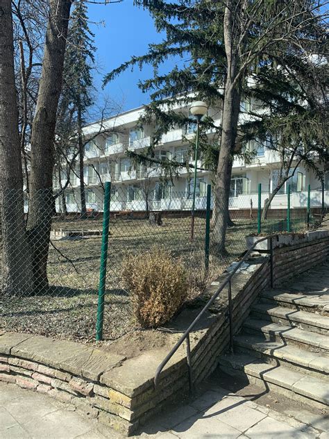 Дом за стари хора Бяла лястовица Осинови и украси дърво така