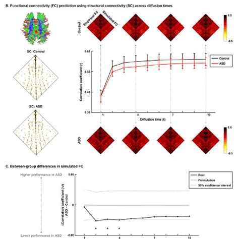 Global Imbalances In Structure Function Coupling In Asd A Schema Download Scientific