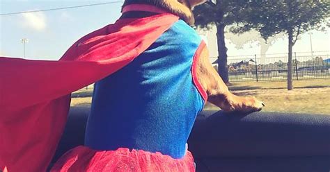 Pickle Album On Imgur