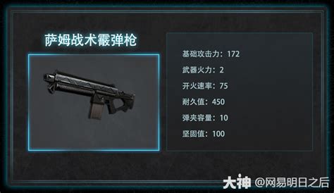 全新等级武器装备、进化武器盘点，哪个才是最趁手的装备？明日之后 大神