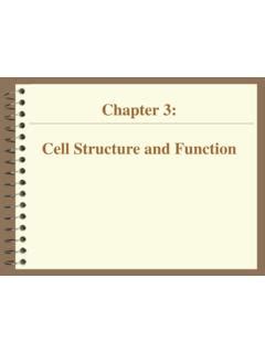 Chapter Cell Structure And Function Chapter Cell Structure And Function Pdf PDF PRO