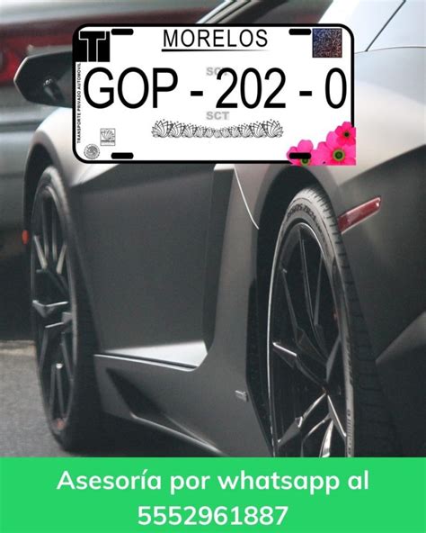 Reimpresion De Pagos Morelos Movilidad Y Transporte Morelos