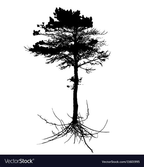 Tree Silhouette With Root System Isolated On White