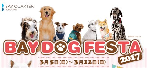 2017年 3月6日（月） 南関東 は曇り時々雨「 ピコ太郎ppapptin日本武道館」 ぷらちゃんの気まぐれ天気とイベント情報！☆