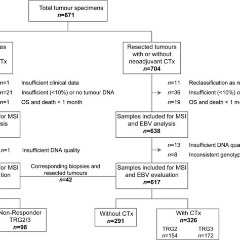 Flow Chart Diagram Of Patient And Specimen Inclusion Download