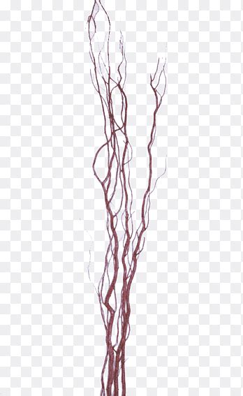 Longliu Png 이미지 Pngegg