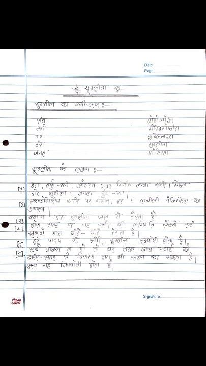 Classification Of Euglena Youtube