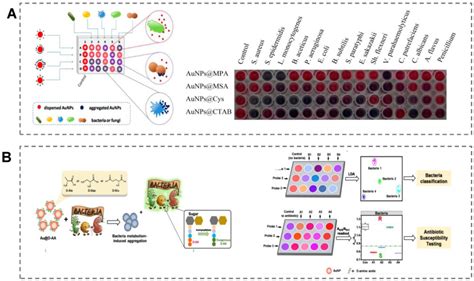 Recent Advances In Colorimetric Sensors Based On Gold Nanoparticles For