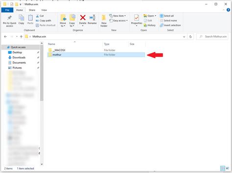 How Do I Get Mothur Exe For Windows In The Version 1 48 0 I Downloaded