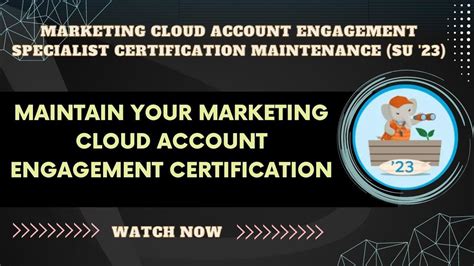 Salesforce Trailhead Maintain Your Marketing Cloud Account Engagement Certification Youtube