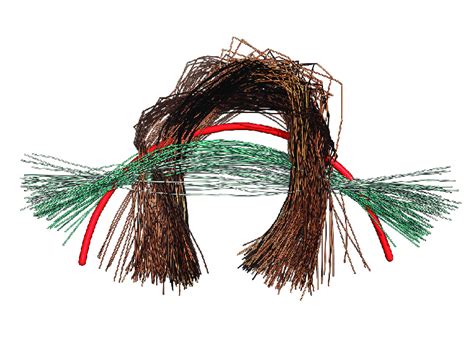 Overview Of Distinctive Dna Bending Behaviors Under Weak And Strong Download Scientific Diagram