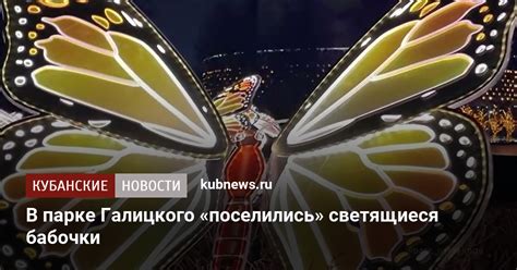 В парке Галицкого «поселились светящиеся бабочки 7 декабря 2022 г Кубанские новости