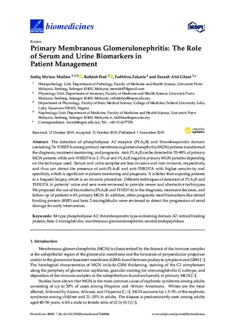Pdf Primary Membranous Glomerulonephritis The Role Of Serum And