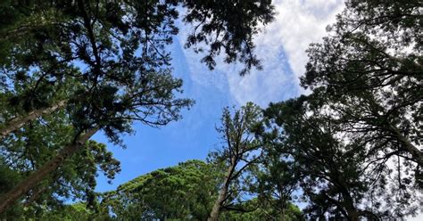 昨晩の雨も上がり、晴天です。 高野山法徳堂