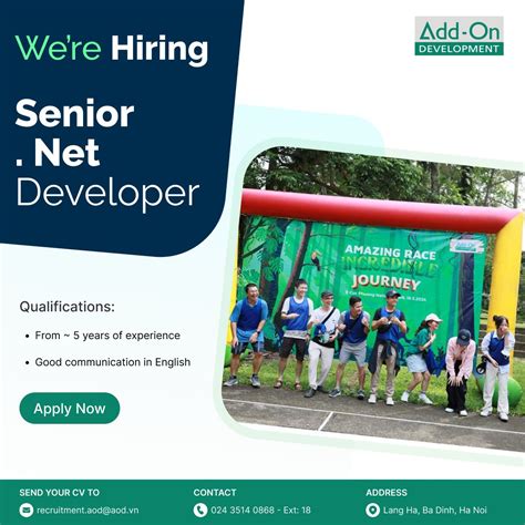 Seniordeveloper Dotnetdeveloper Add On Development
