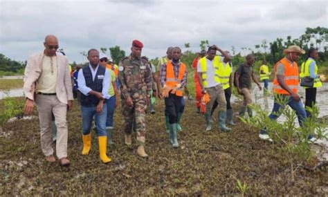 Libreville Arise Iip Et Les Eaux Et Forêts Lancent La Restauration De