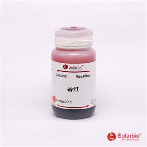 Solarbio G