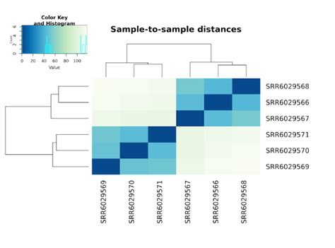 Bulk Rna Seq Transcription Profiling Of Hsv Infected Cells