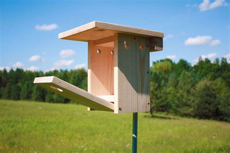 Pin On Chicken Coops
