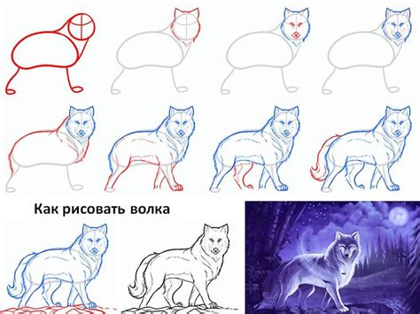 Как рисовать волка Рисунки животных Рисунок животных Живопись с волками