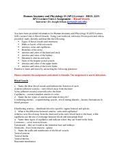 AP2 Unit 2 Assignment Blood Vessels Docx Human Anatomy And