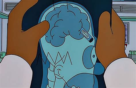 Imagen Del Cerebro De Homer Simpson Imitando En Esto A Homer Simpson