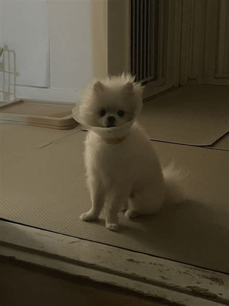 개인 공부 기록