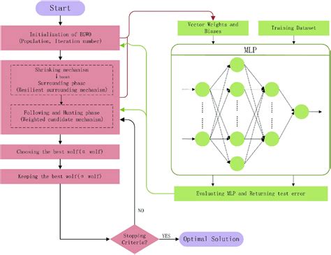 Process Of Elastic Grey Wolf Optimization Algorithm EGWO Training