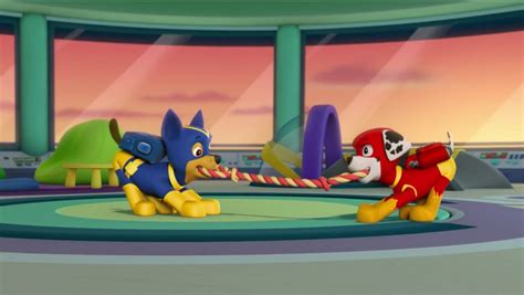 Image Paw Patrol Pups Save Apollo Scene 19 Paw Patrol Wiki