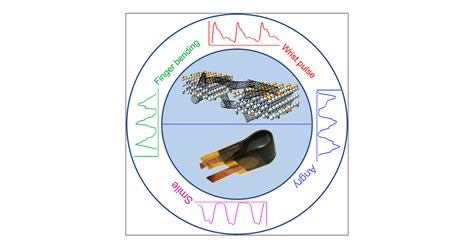 Stretchable And Highly Sensitive Strain Sensor Based On A 2d Mxene And 1d Whisker Carbon
