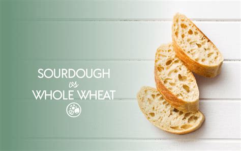 Sourdough Vs Whole Wheat Bread Why Whole Wheat Wins Plantbasedfaqs