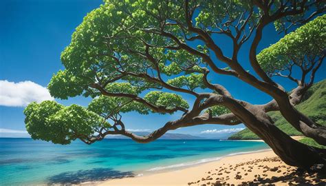 Tennessees State Flower Unveiling Its Identity