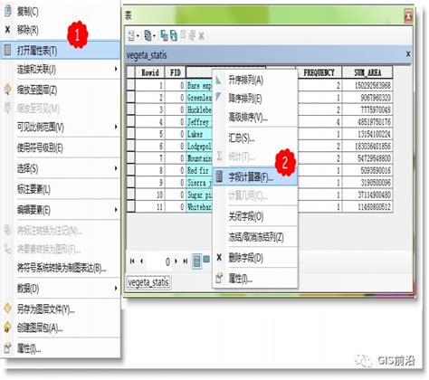 详细讲解arcgis数据统计及字段计算 工具箱