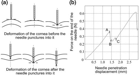 Corneal Deformation And The Needle Force‐penetration Displacement Curve