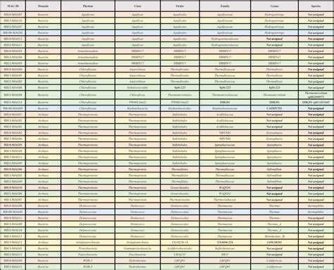 Classification Of The Mags Based On The Taxonomic Classification Of